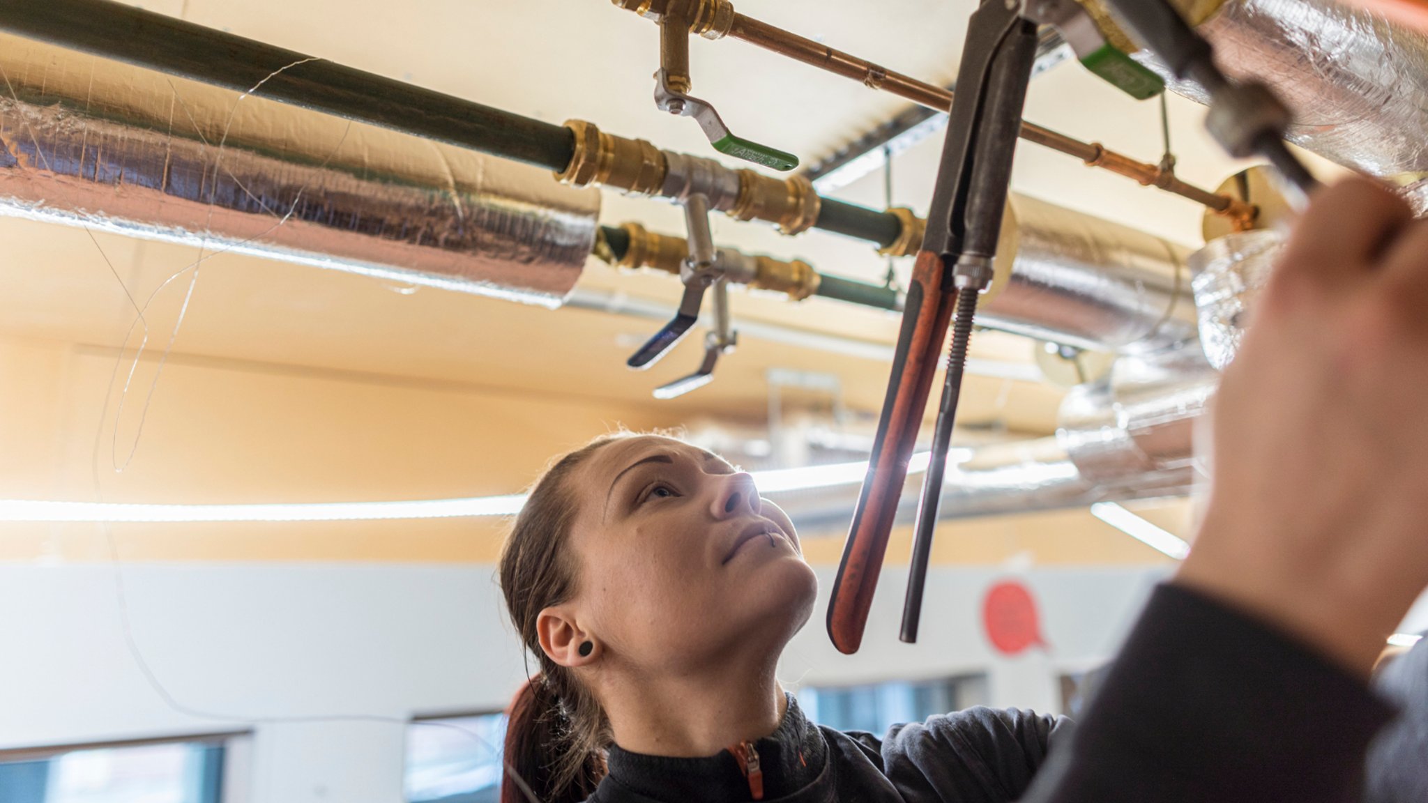How to become an electrician in NZ | Trade Me Jobs