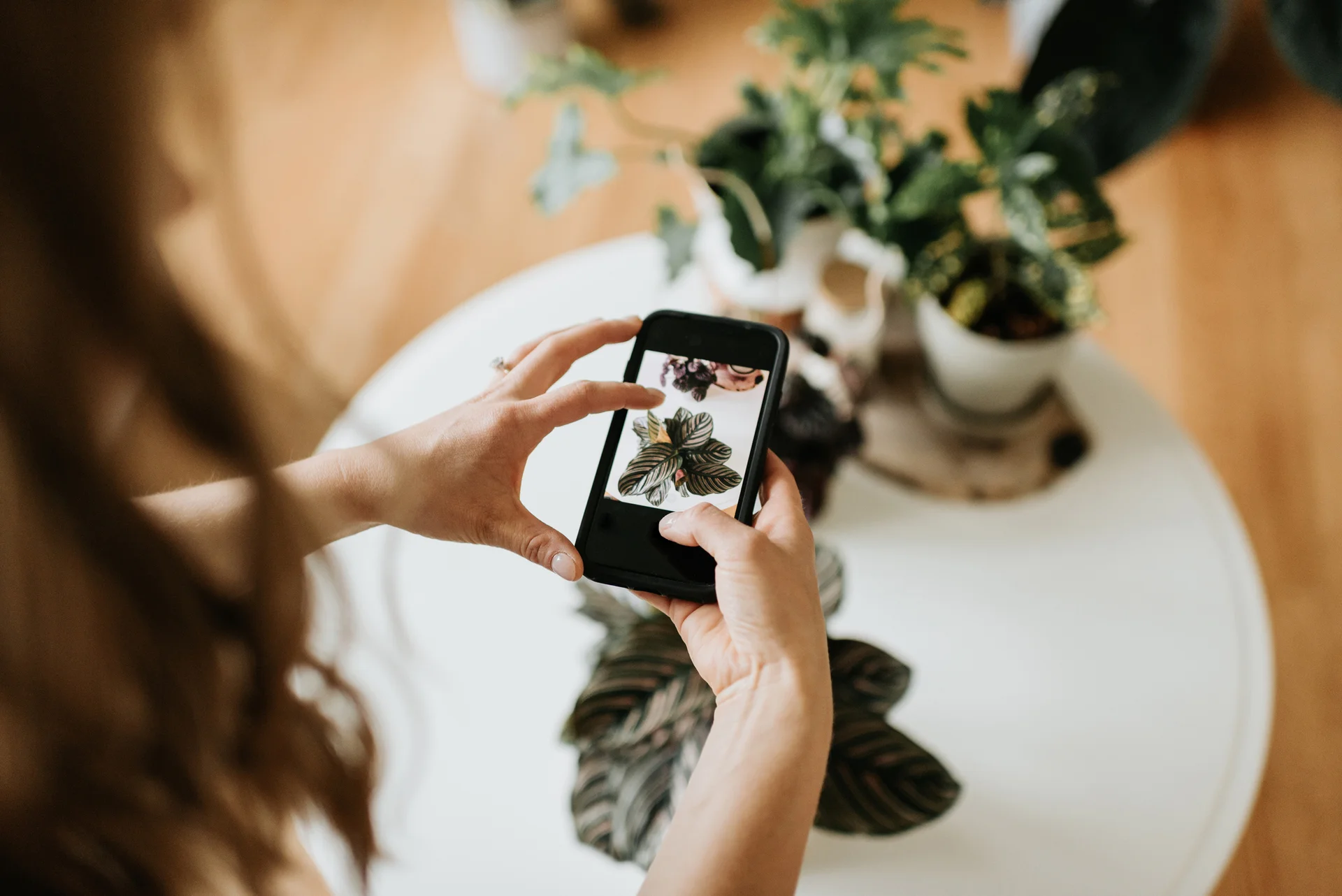 Selling on Trade Me: the ultimate shipping guide | Trade Me Marketplace